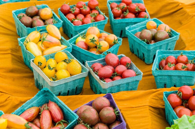 Boxes of Small Tomatoes at the Market Stock Photo - Image of healthy ...