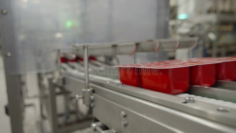 Boxes of Tomato Paste in a Canned Food Production Facility Stock Video ...