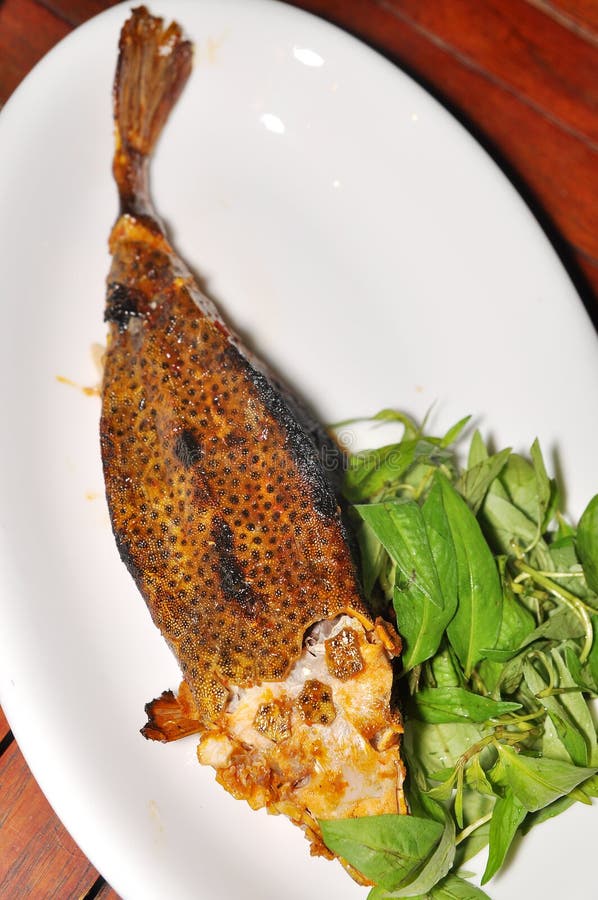 Boxfish stock image. Image of beautiful, fresh, grilled - 55583249