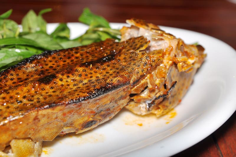 Boxfish stock photo. Image of grilled, fresh, herbs, meal - 55583088