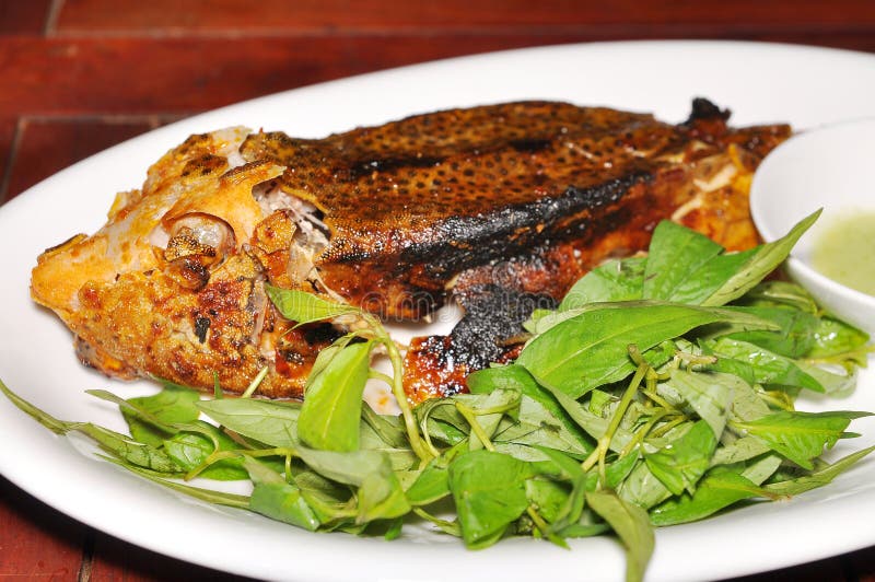 Boxfish stock image. Image of beautiful, fresh, grilled - 55583249