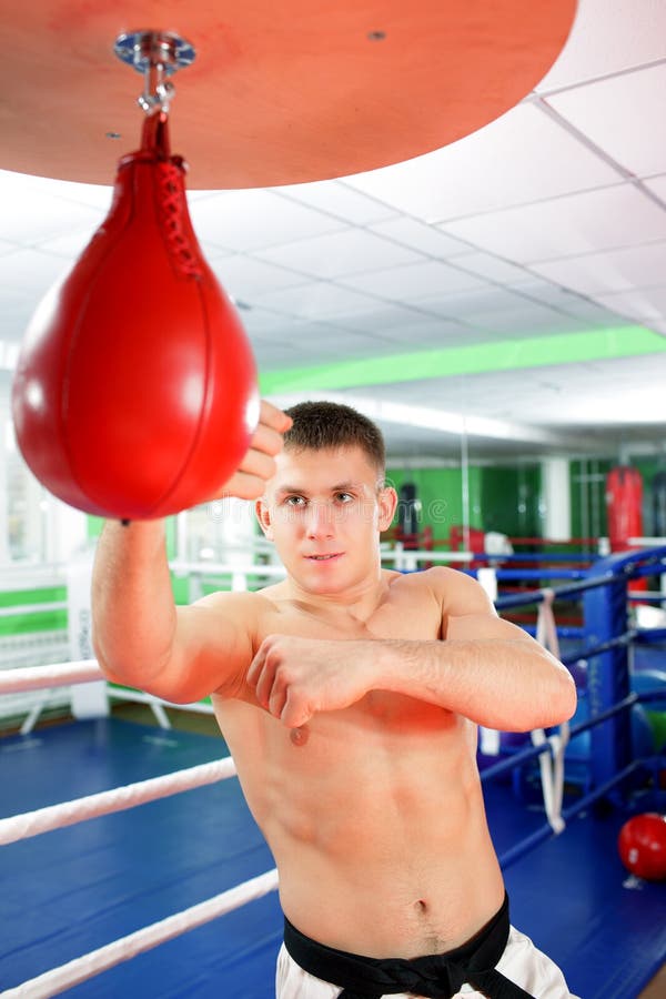 Boxing stock image. Image of abdominal, athlete, mixed - 28810591