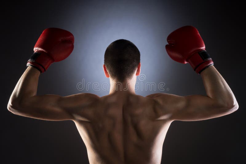 101 Back Mma Fighter Stock Photos - Free & Royalty-Free Stock Photos ...
