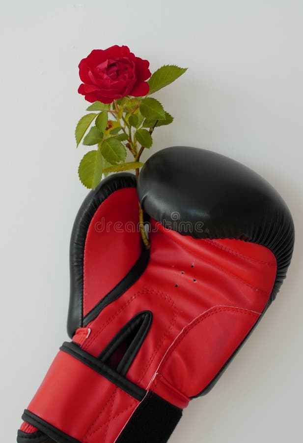 Boxing glove stock image. Image of winner, gloves, sport - 255076453