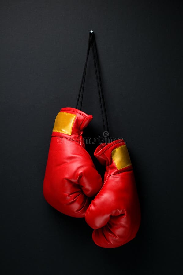 Boxing gloves stock photo. Image of hanging, protection - 22979540