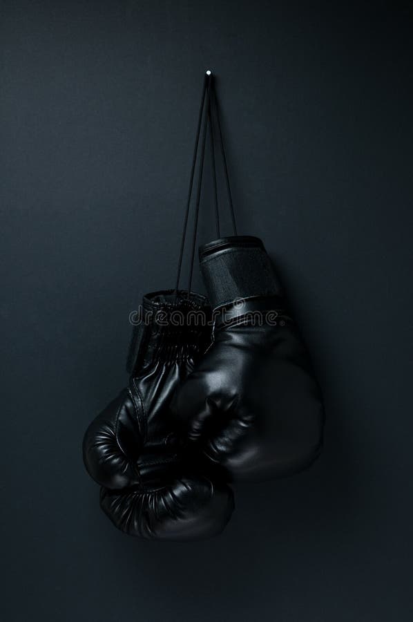 Boxing gloves stock photo. Image of hanging, protection - 22979540