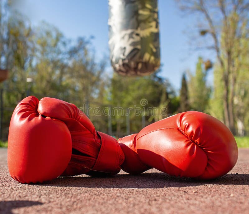 Boxing gloves and bag stock photo. Image of ring, knockout - 230748090
