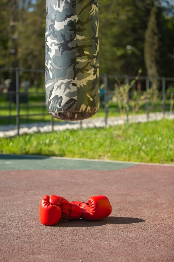 Boxing gloves and bag stock photo. Image of park, knockout - 230751616