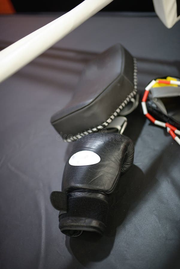 Boxing Gloves and Boxing Paws on Ring Stock Photo - Image of protection ...