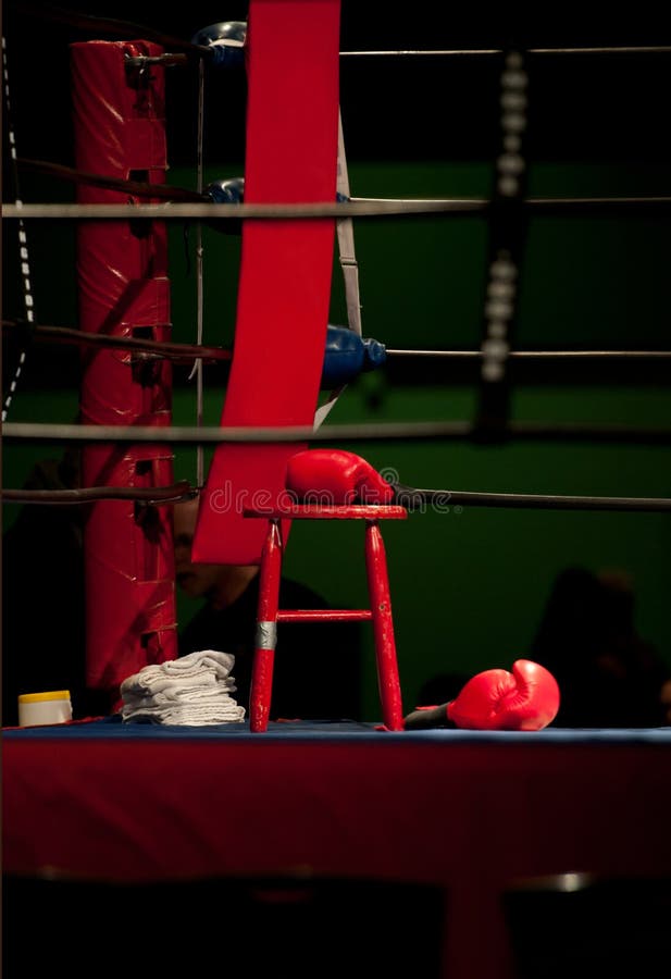 Boxing Gloves in Boxing Ring Stock Photo - Image of still, sportswear ...