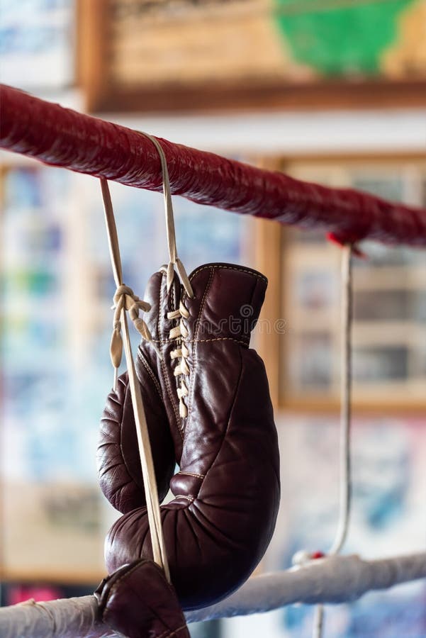 Boxing Gloves Hanging on the Ropes of a Boxing Ring Stock Photo - Image ...