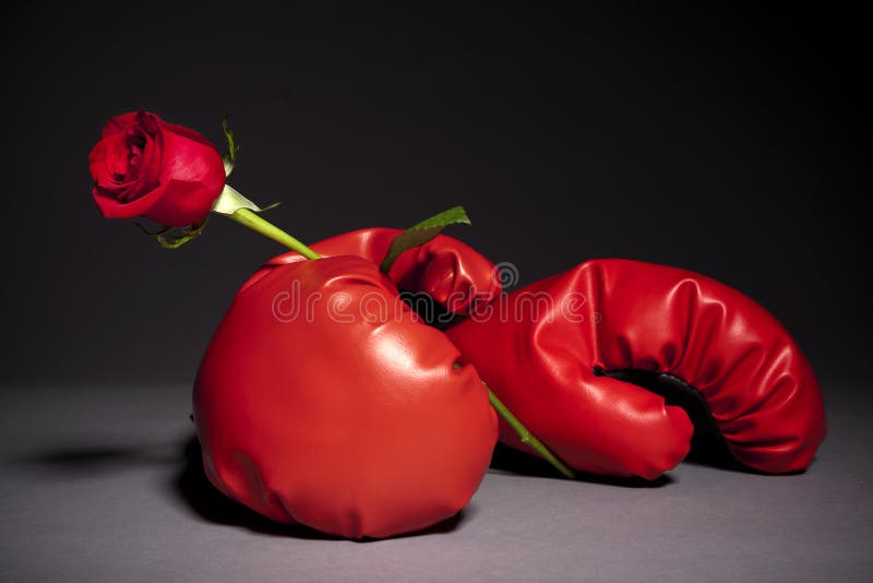 Boxing gloves and red rose stock photo. Image of sportswear - 23398284