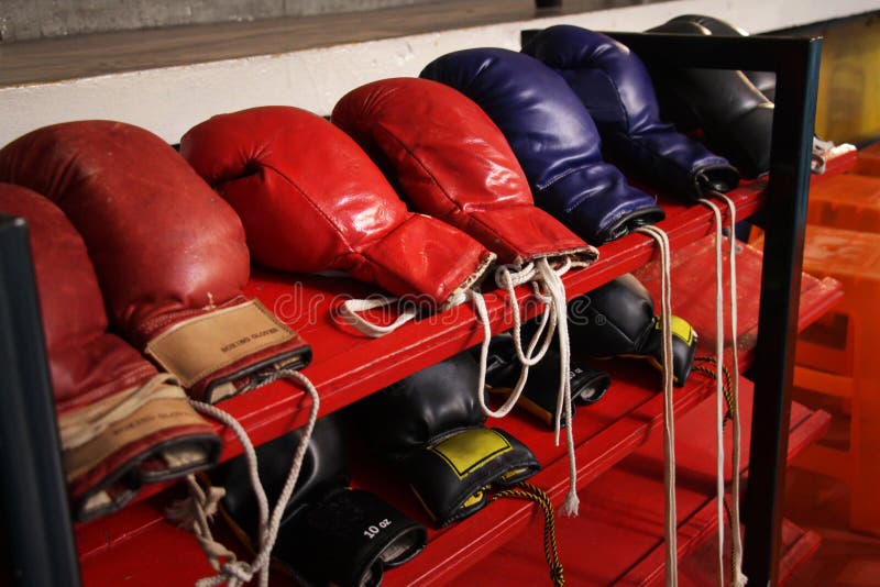 Hanging Boxing Gloves on a Rope in Vertical Stock Image - Image of ...