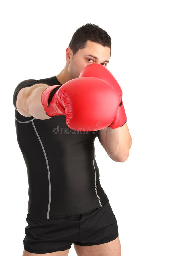 Boxing Guy stock photo. Image of glove, punch, professional - 20056074