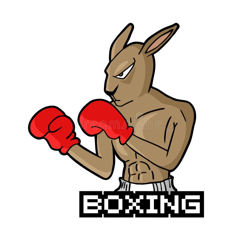 Kangaroo Boxing Drawing