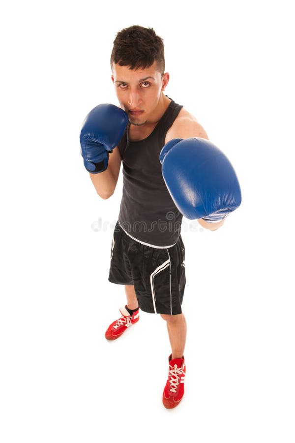 Boxing man stock image. Image of healthy, afghan, isolated - 30551049