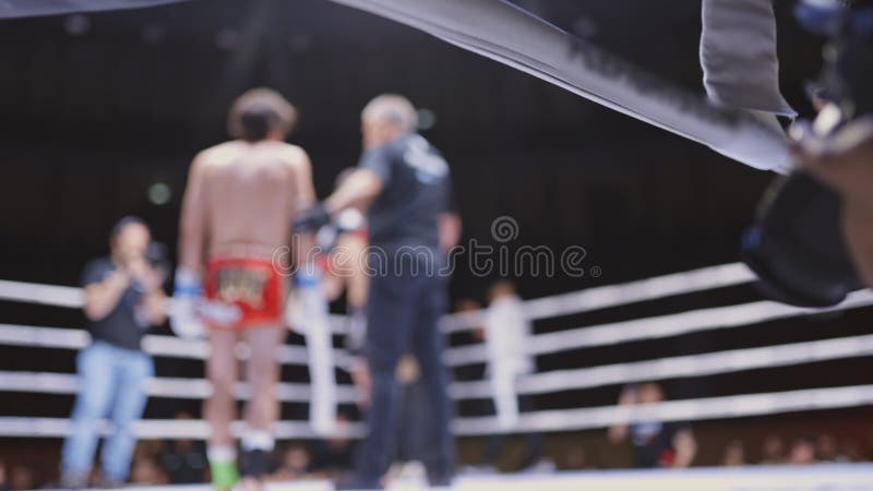 A Boxing Match is in Progress with a Referee and Two Fighters Stock ...
