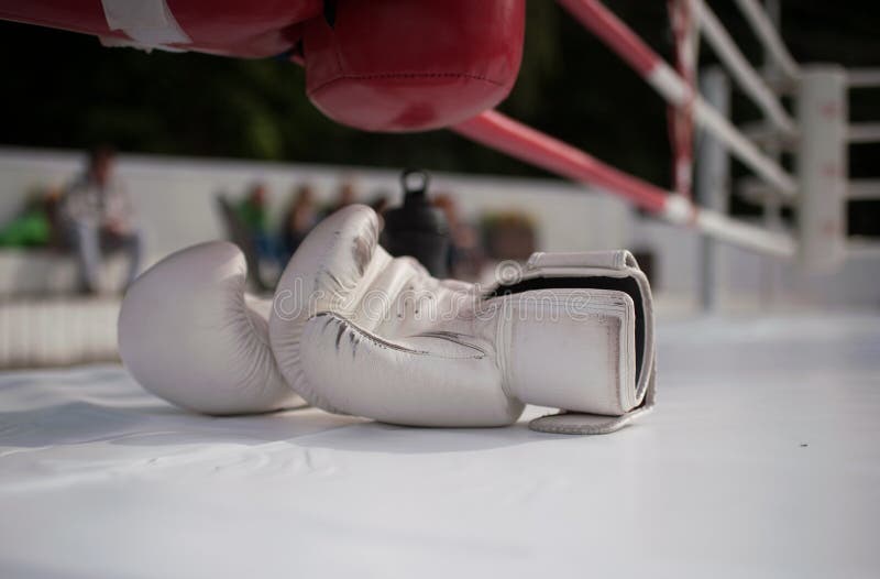 Boxing match stock photo. Image of sport, sportswear - 173521902