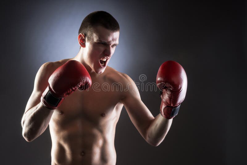 Boxer Celebrating Back Stock Photos - Free & Royalty-Free Stock Photos ...