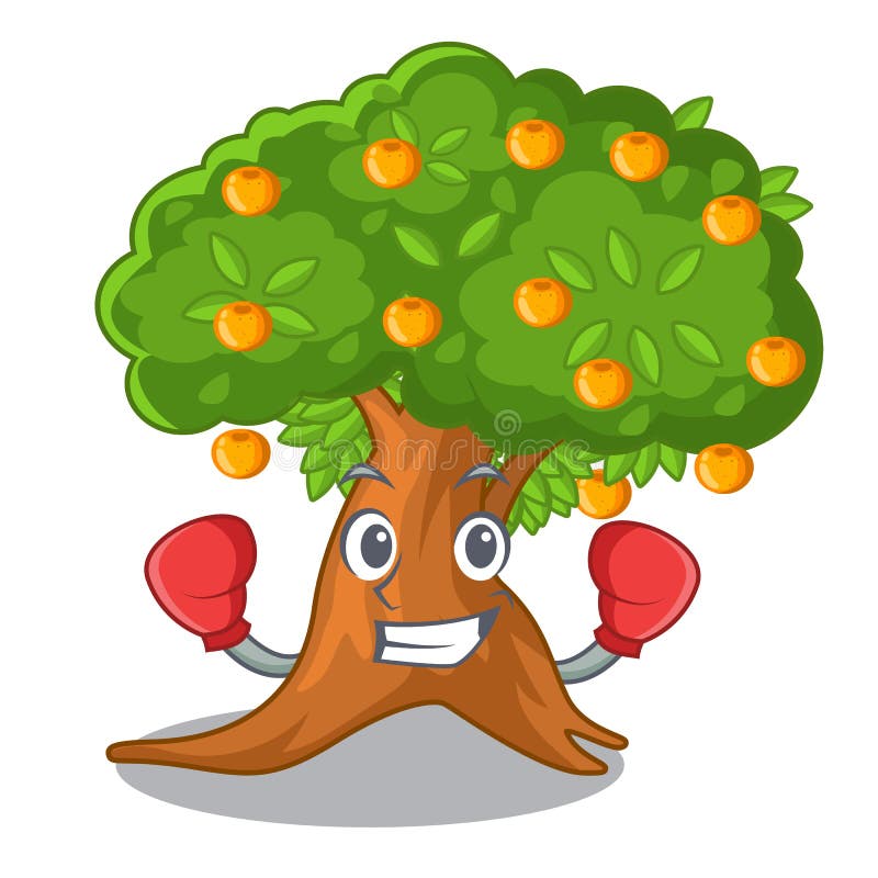 Boxing Orange Tree Isolated with the Mascot Stock Vector - Illustration ...