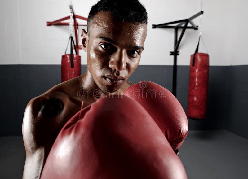 Boxing portrait stock image. Image of fitness, muscular - 23112167