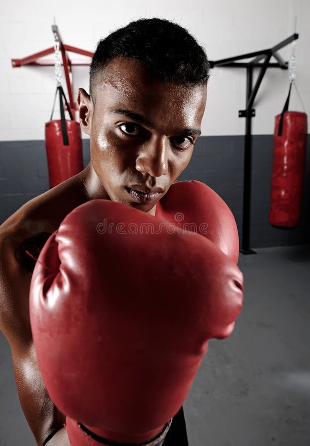 Knockout stock image. Image of muscular, heavyweight, person - 3875293