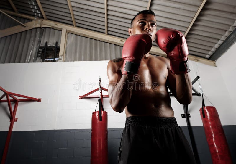 Training. stock image. Image of martial, motion, muscular - 33129031