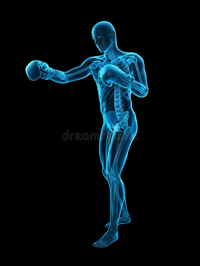 A boxing pose stock illustration. Illustration of healthy - 74192515