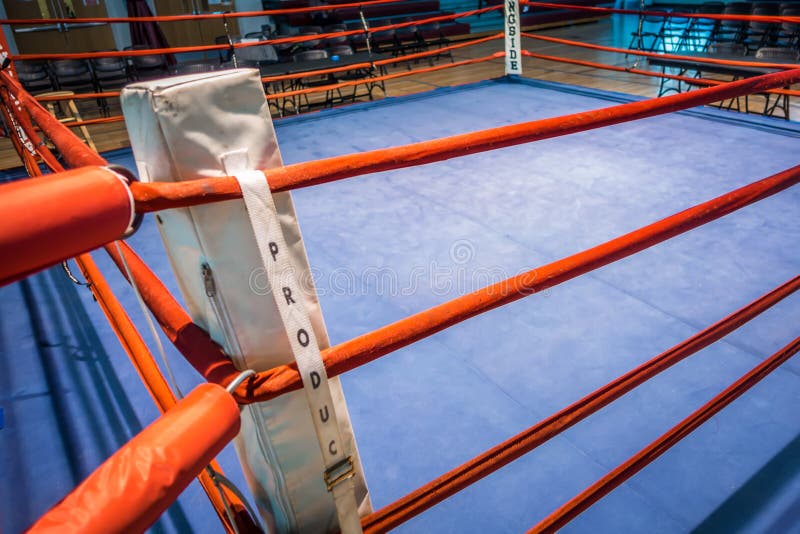 Boxing Ring Girls Holding a Board with Round Number Editorial Stock ...
