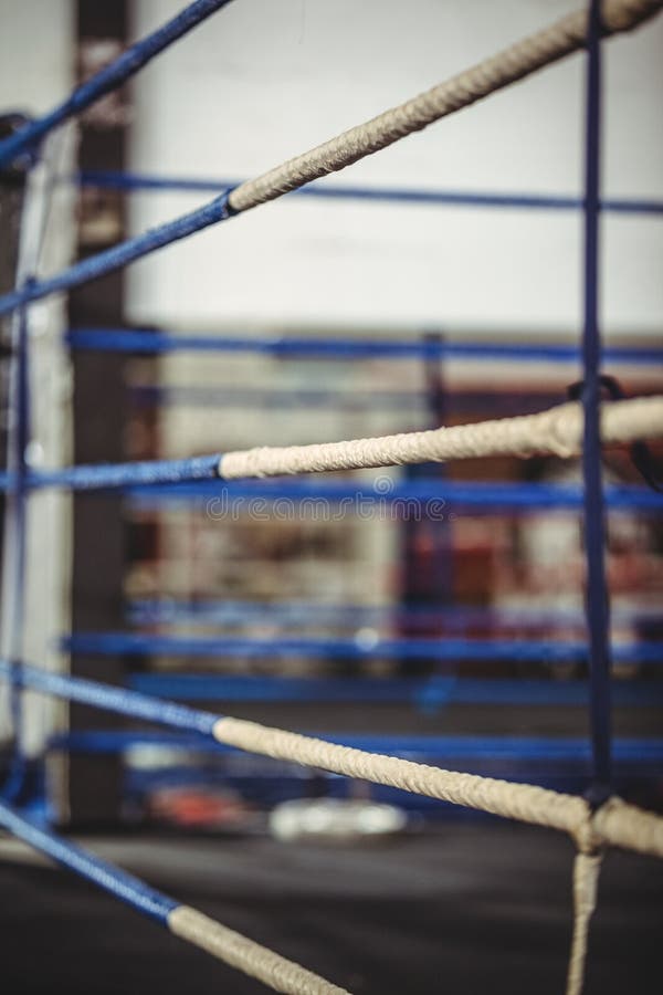 Boxing Ring in Fitness Studio Stock Image - Image of competition, ring ...