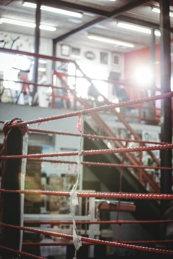 Boxing Ring in Fitness Studio Stock Photo - Image of strength, empty ...
