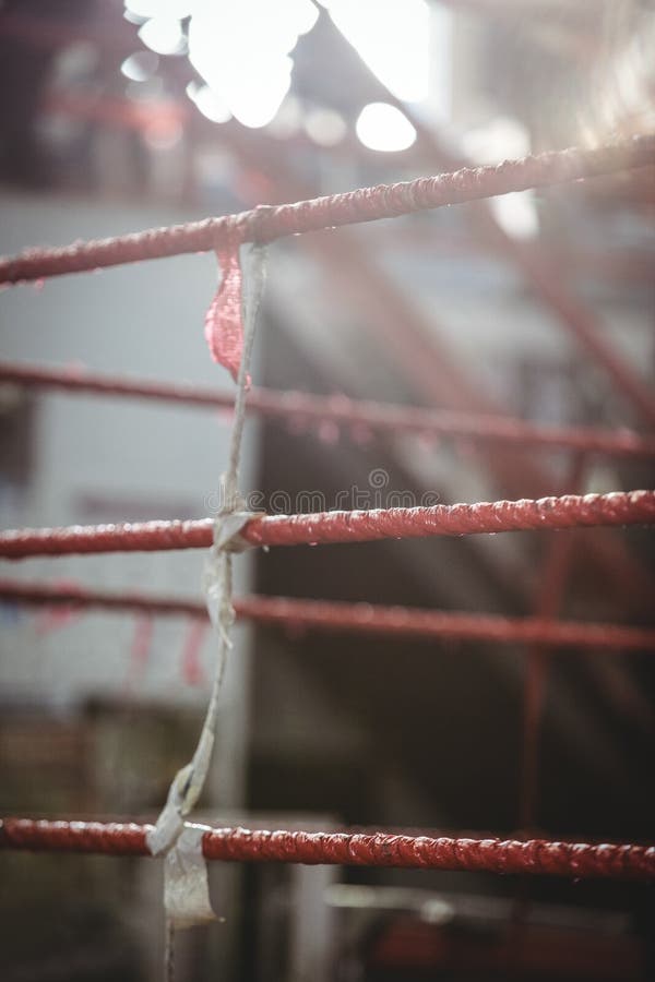 Boxing Ring in Fitness Studio Stock Image - Image of ring, health: 81460899