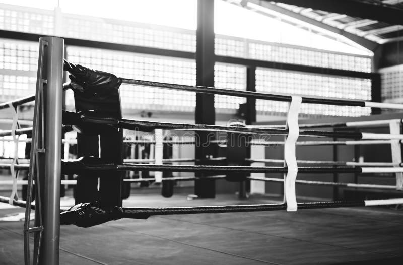 Boxing ring in a gym stock photo. Image of match, challenge - 217872234