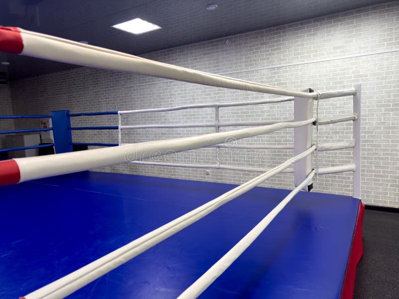 Boxing ring in the gym stock image. Image of muscular - 313507675