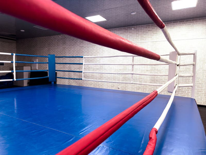 Boxing ring in the gym stock image. Image of adult, fight - 314146029