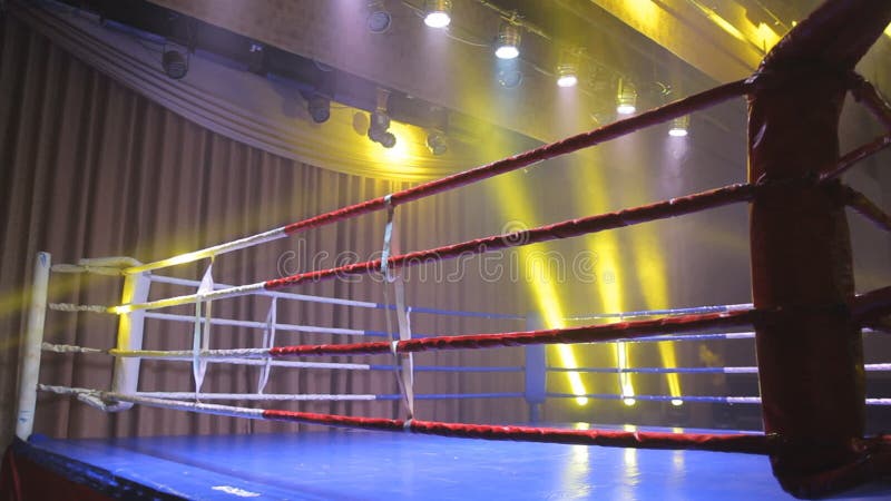Underneath the Boxing Ring Lights - a Story of Strength and Determinity ...
