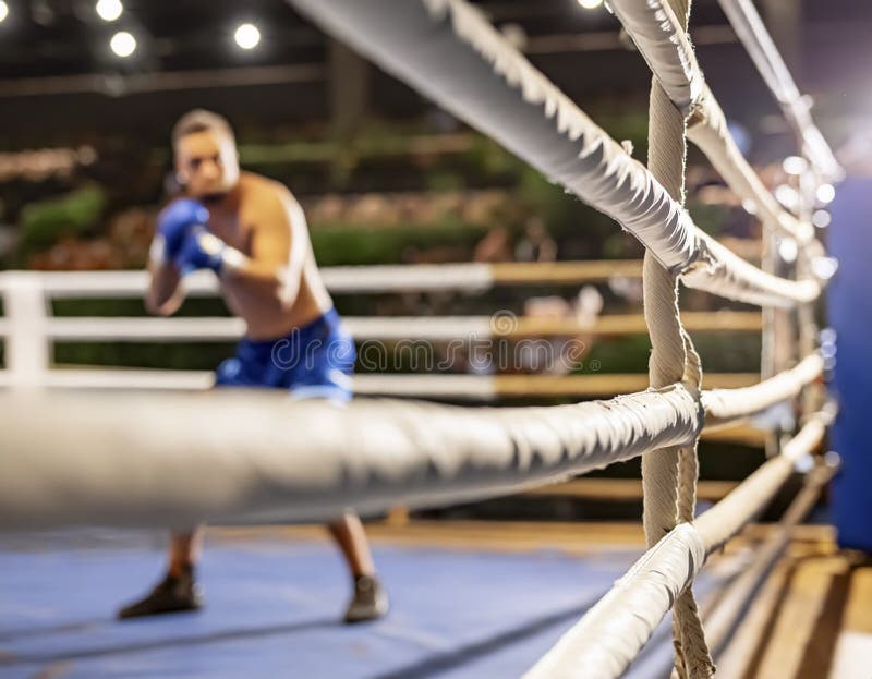 Boxing scenery stock illustration. Illustration of pugilism - 326729419