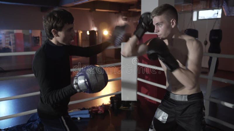 Boxing Training in the Ring, Technique of Strikes, Fight. the Coach is ...