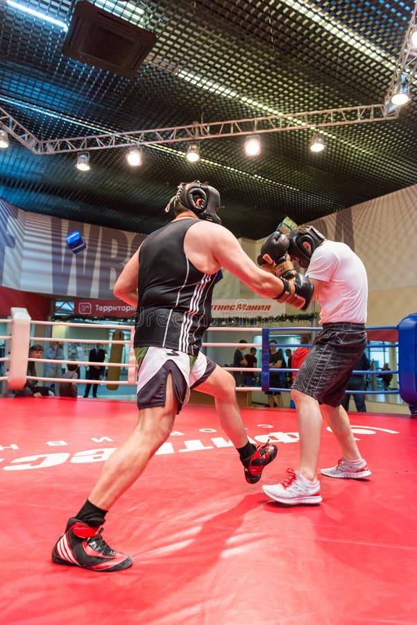 Boxing workout training editorial stock image. Image of male - 61570344