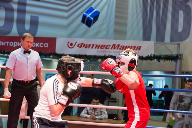 Boxing workout training editorial stock image. Image of canidae - 61970379