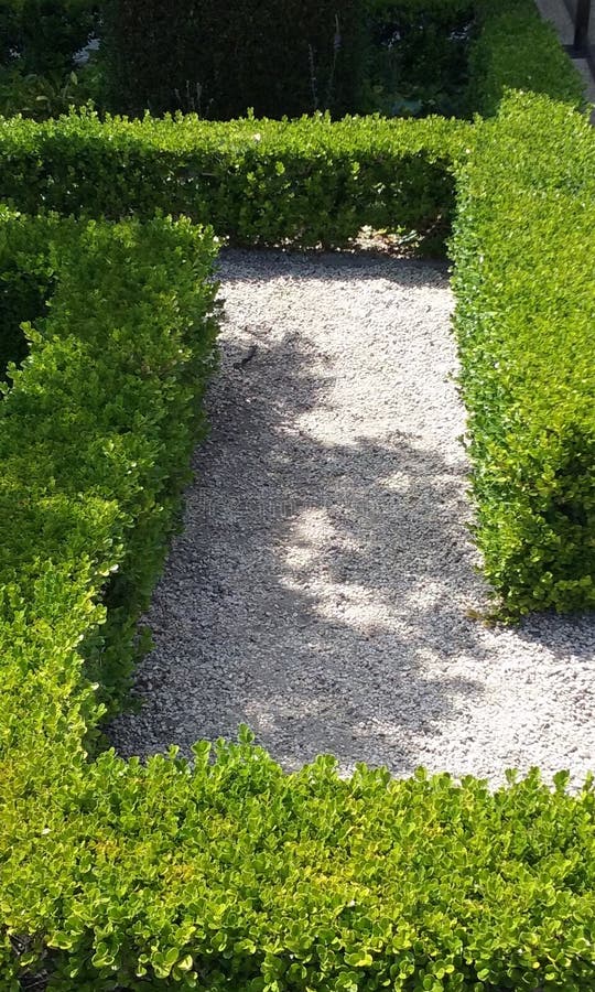 277 Boxwood Maze Stock Photos - Free & Royalty-Free Stock Photos from ...