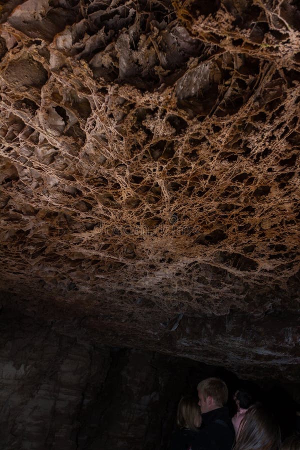 Boxwork Ceiling Stock Photos - Free & Royalty-Free Stock Photos from ...