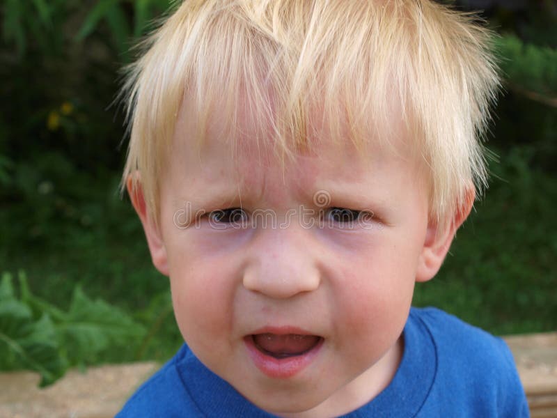 Boy stock photo. Image of face, preschool, concept, childhood - 10450212