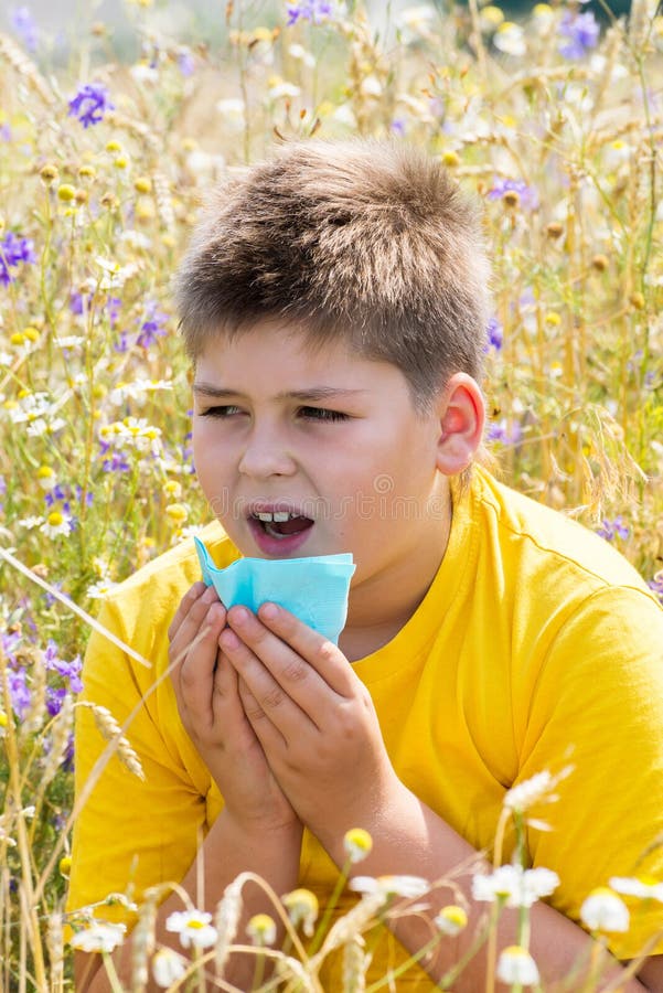 Boy with Allergic Rhinitis in Meadow Stock Photo - Image of nose ...