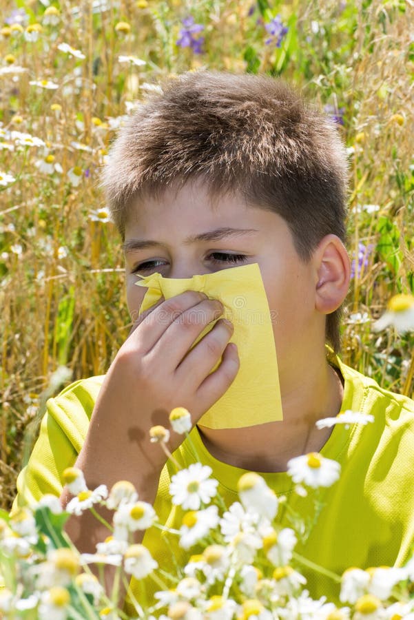 Boy with Allergic Rhinitis in Meadow Stock Photo - Image of patient ...