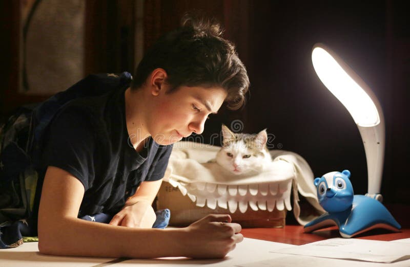 Boy Architect Student Working on Drafting Project in Night with Cat in ...