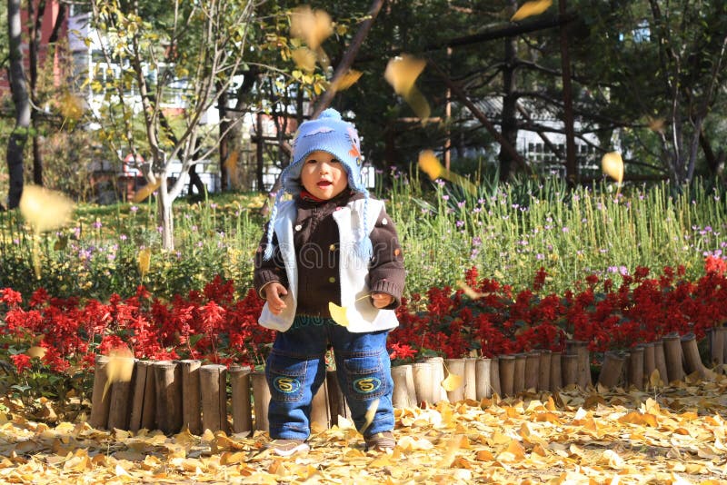 Boy in autumn stock image. Image of afternoon, cute, attractive - 7095377