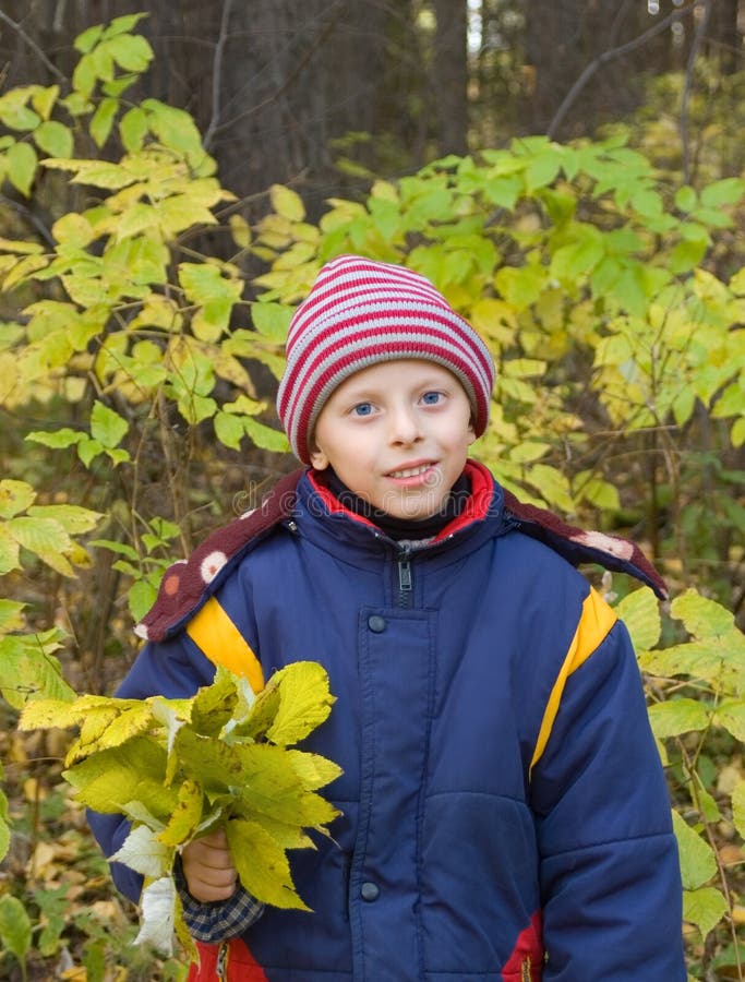 The boy with autumn leaves stock image. Image of leaves - 11103089