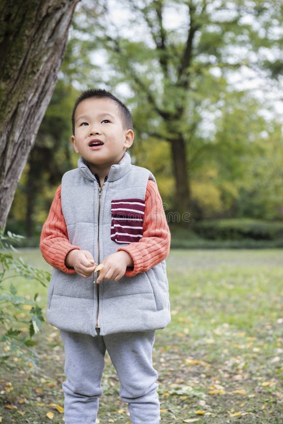 Boy at autumn stock image. Image of park, leaf, face - 47592859