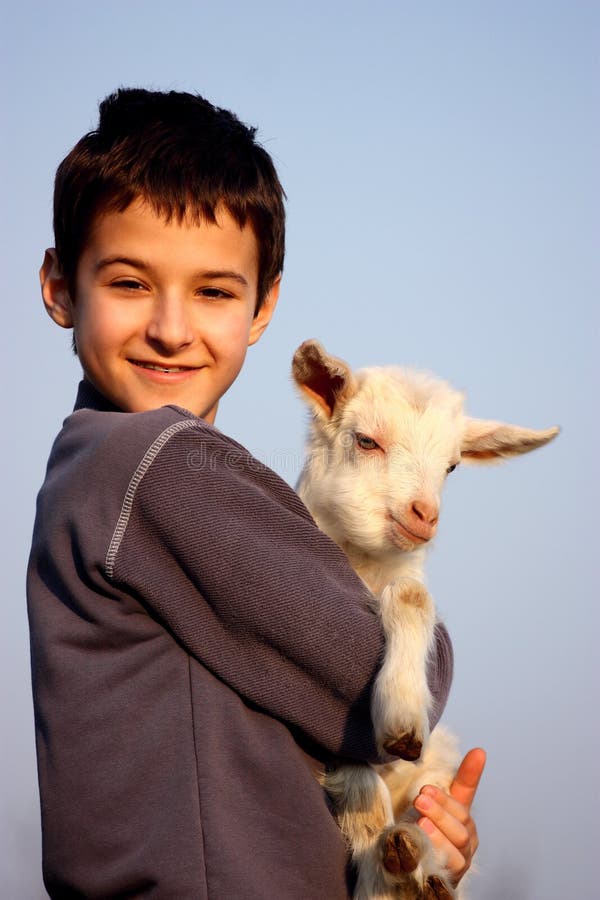 A boy carry a baby goat stock photo. Image of blue, white - 24009126